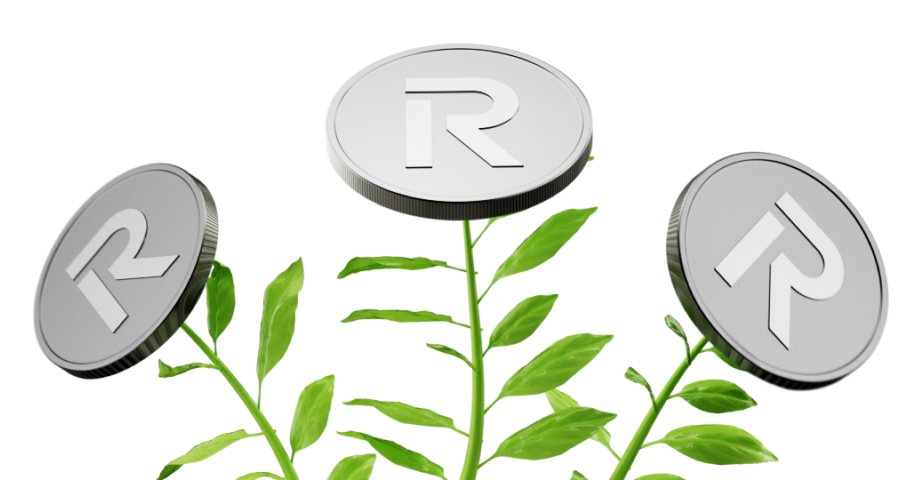 What is AER vs gross? | Savings account interest rates explained ...